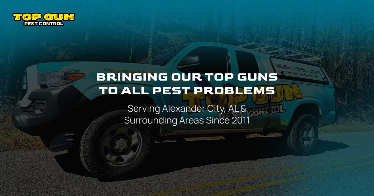 Alexander City Pest Control | Top Gun Pest Control